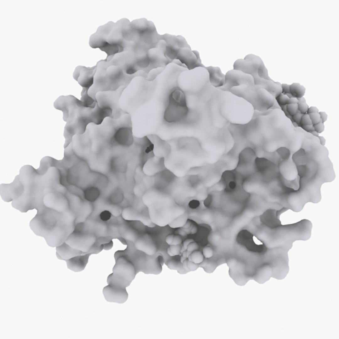 3d glycogen phosphorylase model