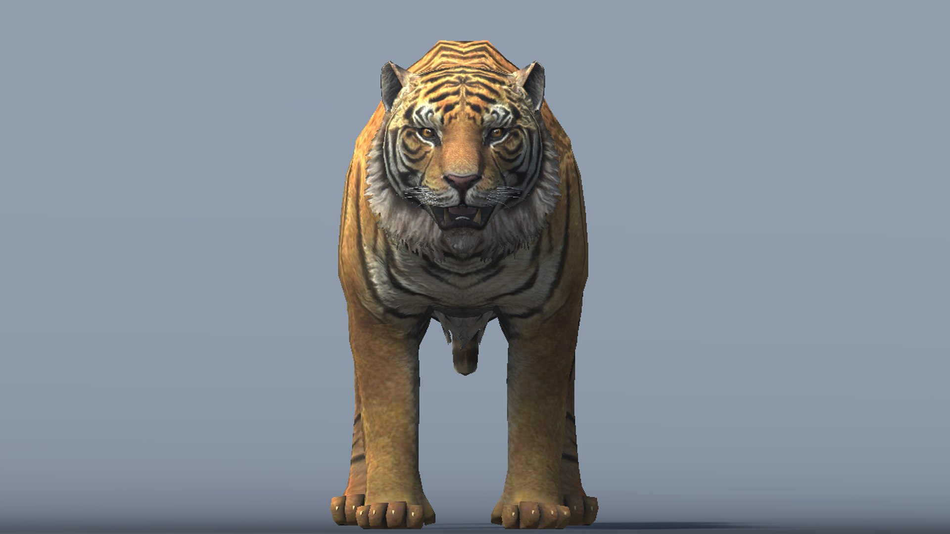 3D Model Lowpoly Tiger Rigged And Animated For VR AR Games - TurboSquid ...