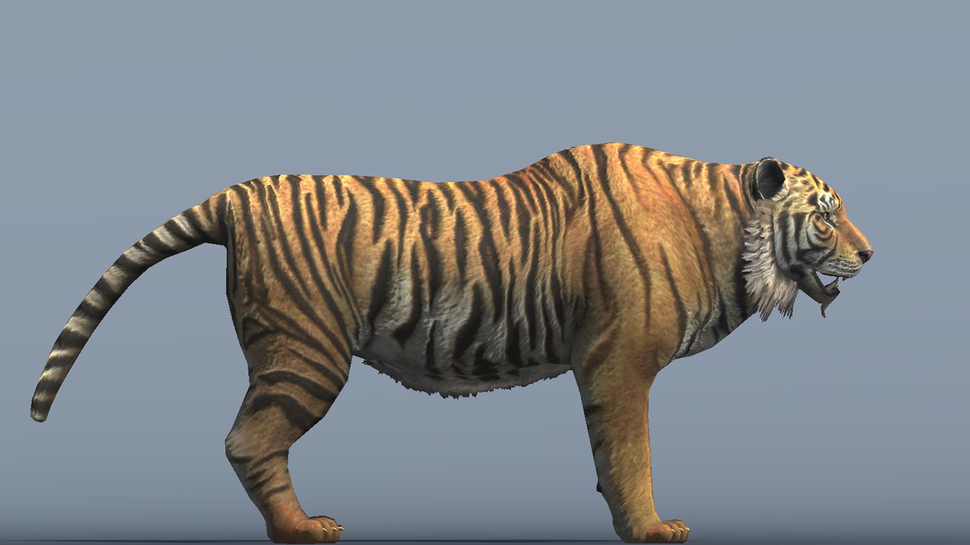 3D Model Lowpoly Tiger Rigged And Animated For VR AR Games - TurboSquid ...