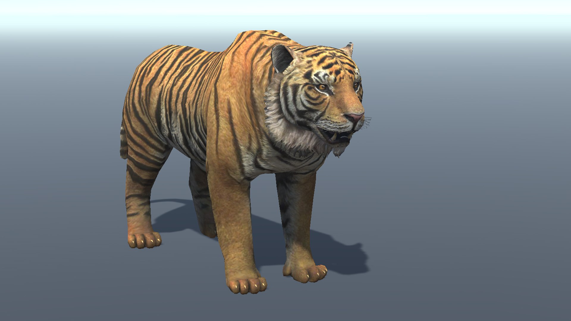 3D Model Lowpoly Tiger Rigged And Animated For VR AR Games - TurboSquid ...