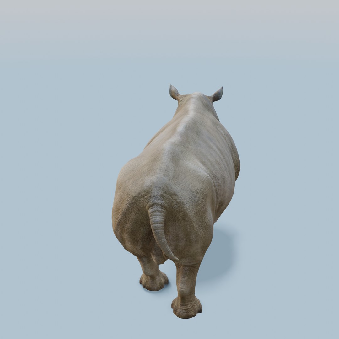 3D Model Gray Rhino 3D Model Animated - TurboSquid 2267723