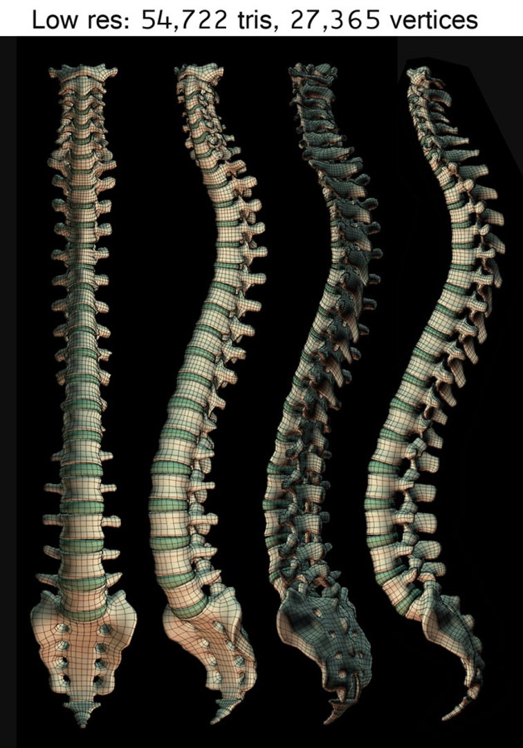 Spine Mapping 3d Model