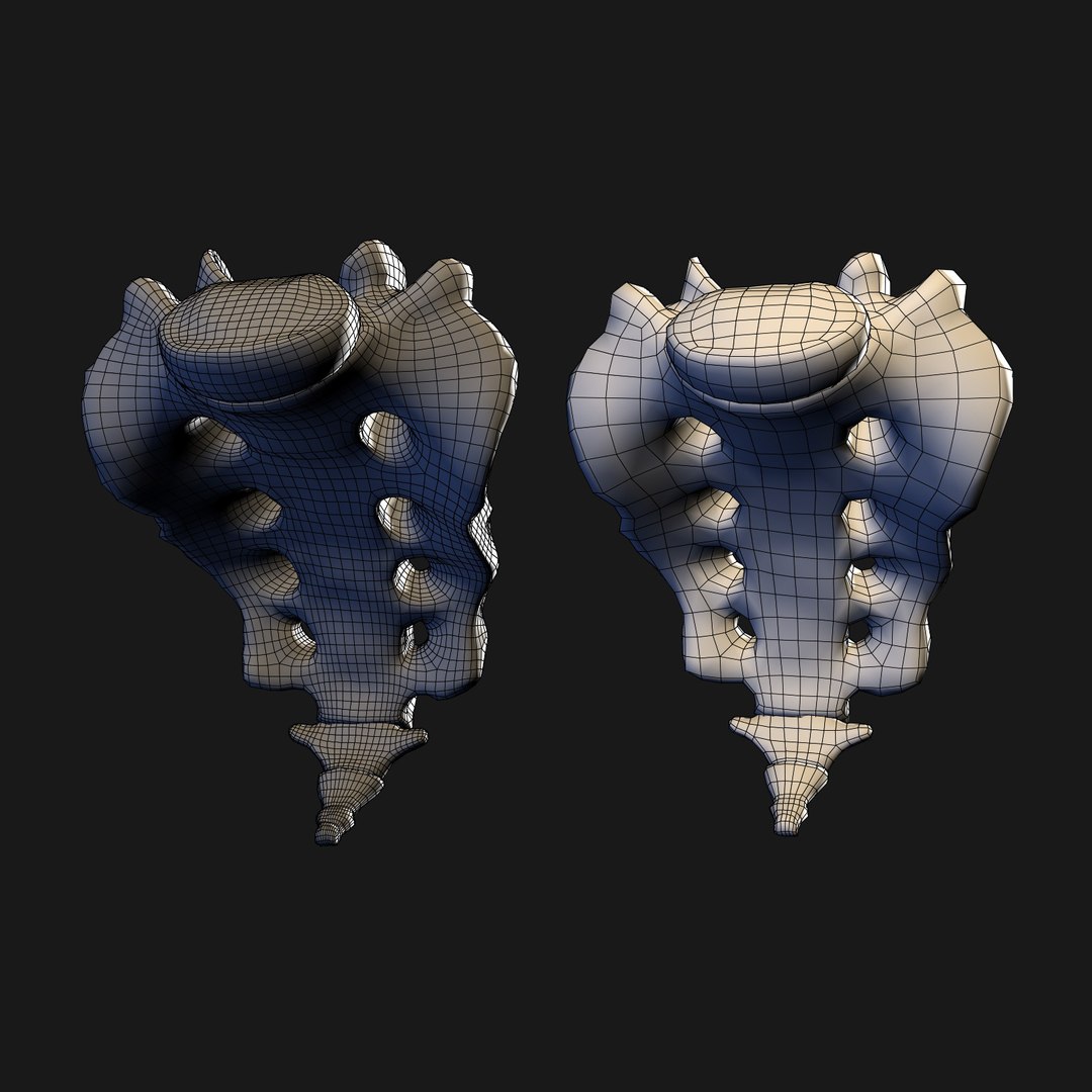 Spine Mapping 3d Model