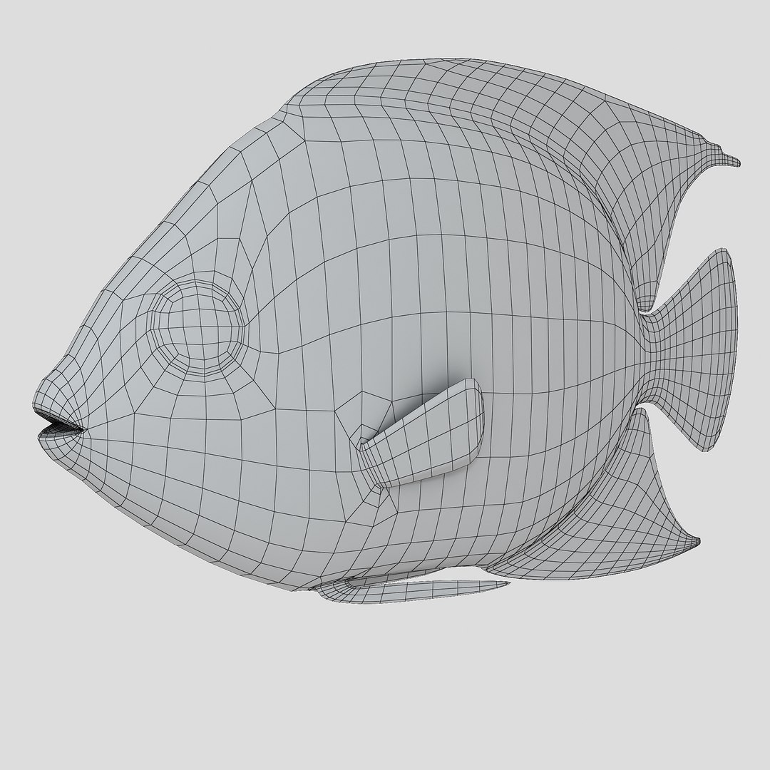 blue angelfish 3d model