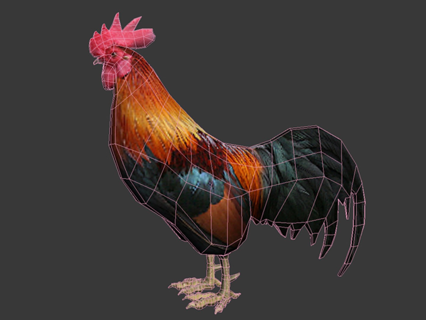 Rooster 3d Model