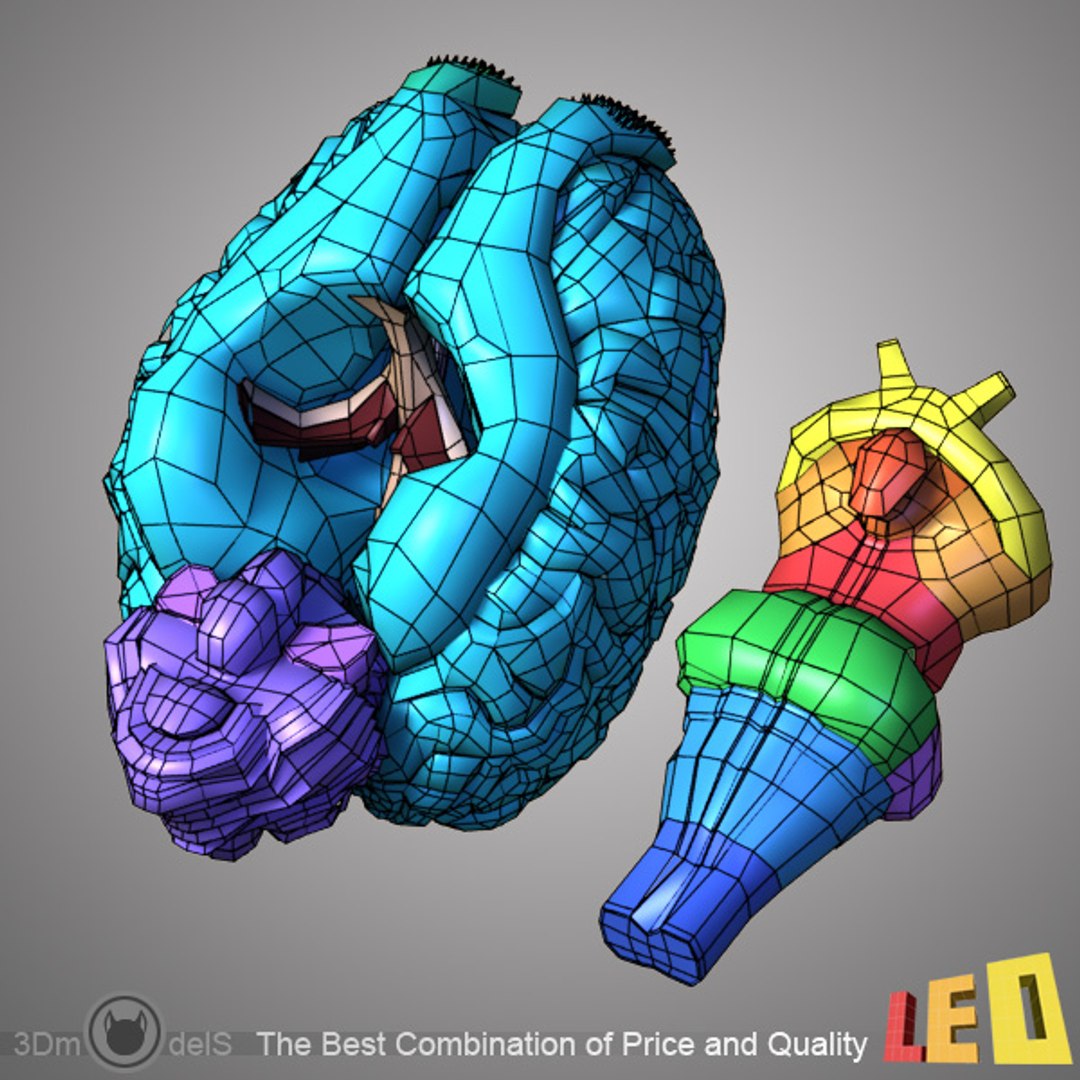 3d Horse Brain Model