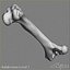 Bull Femur Bone 3ds