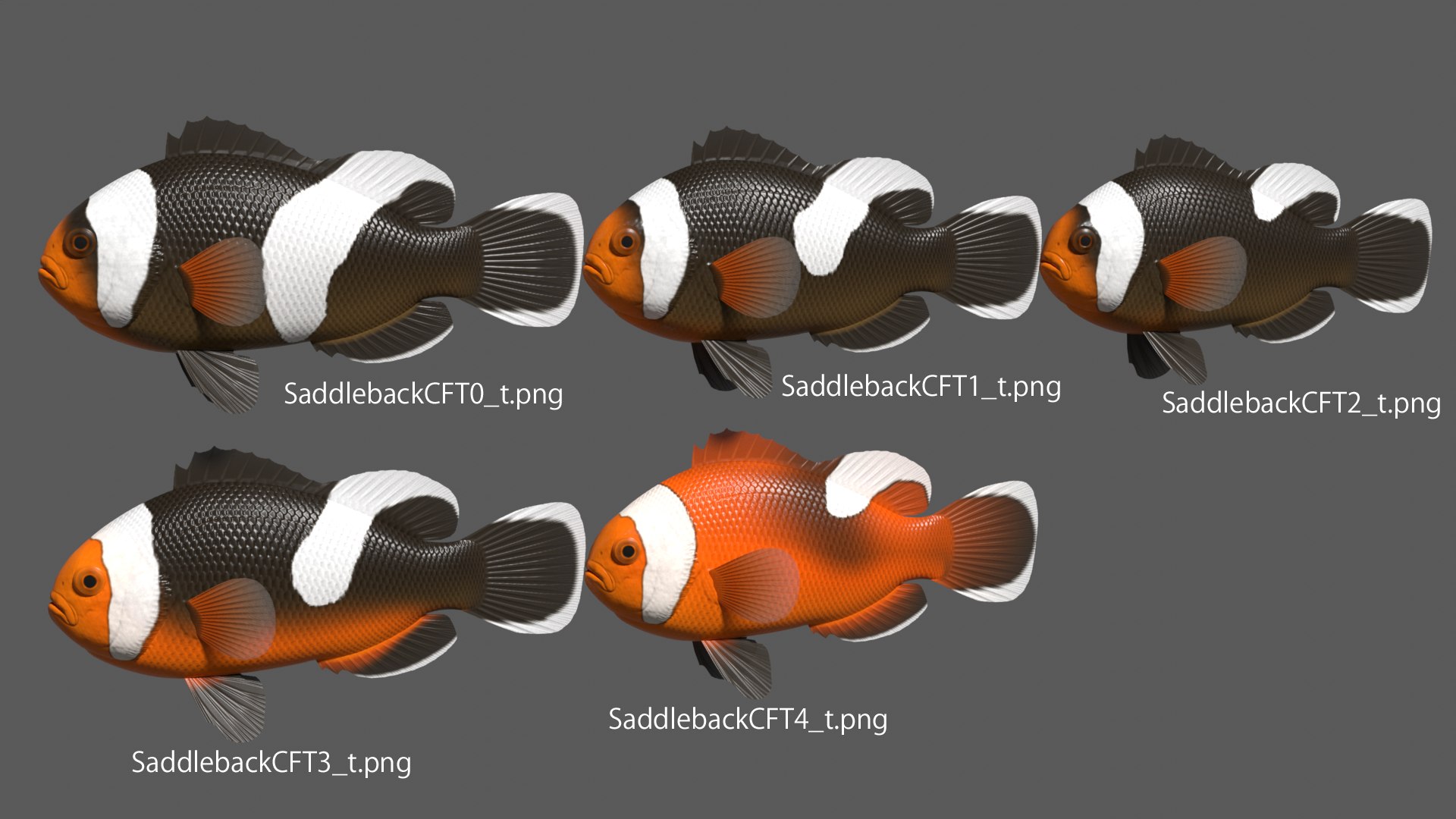 Saddleback Clownfish 3d 3ds