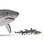 3d Model Of Sharks 2
