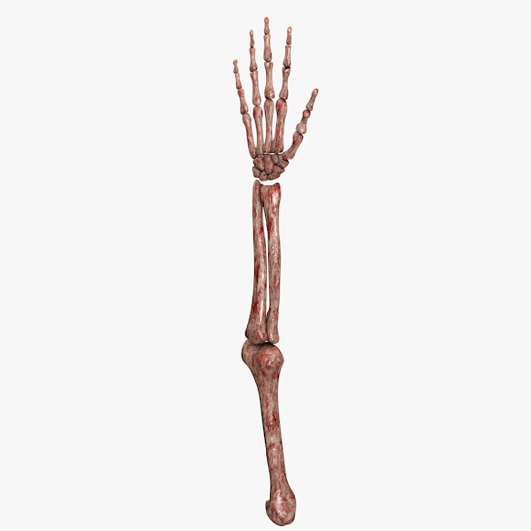 Zombie Skeleton Arm 3d Obj