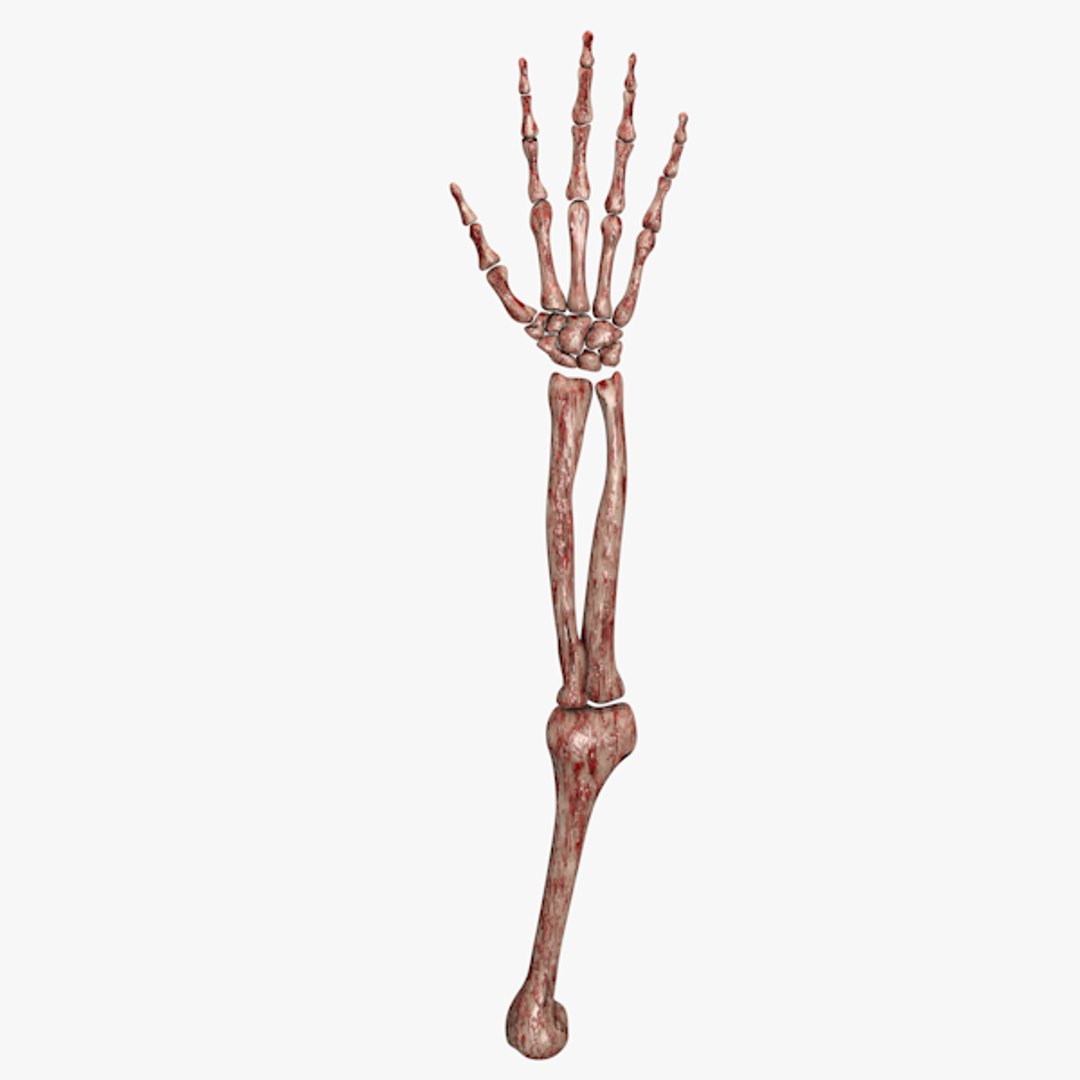 Zombie Skeleton Arm 3d Obj