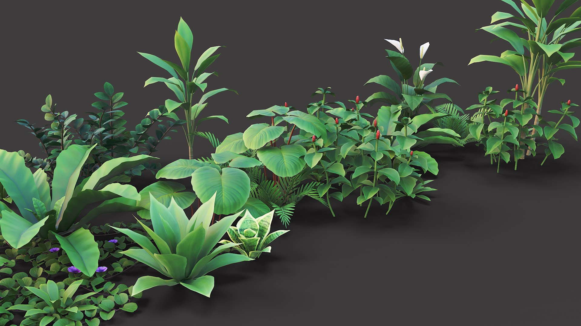 Tropical Plants Pack G94 3D - TurboSquid 2167228