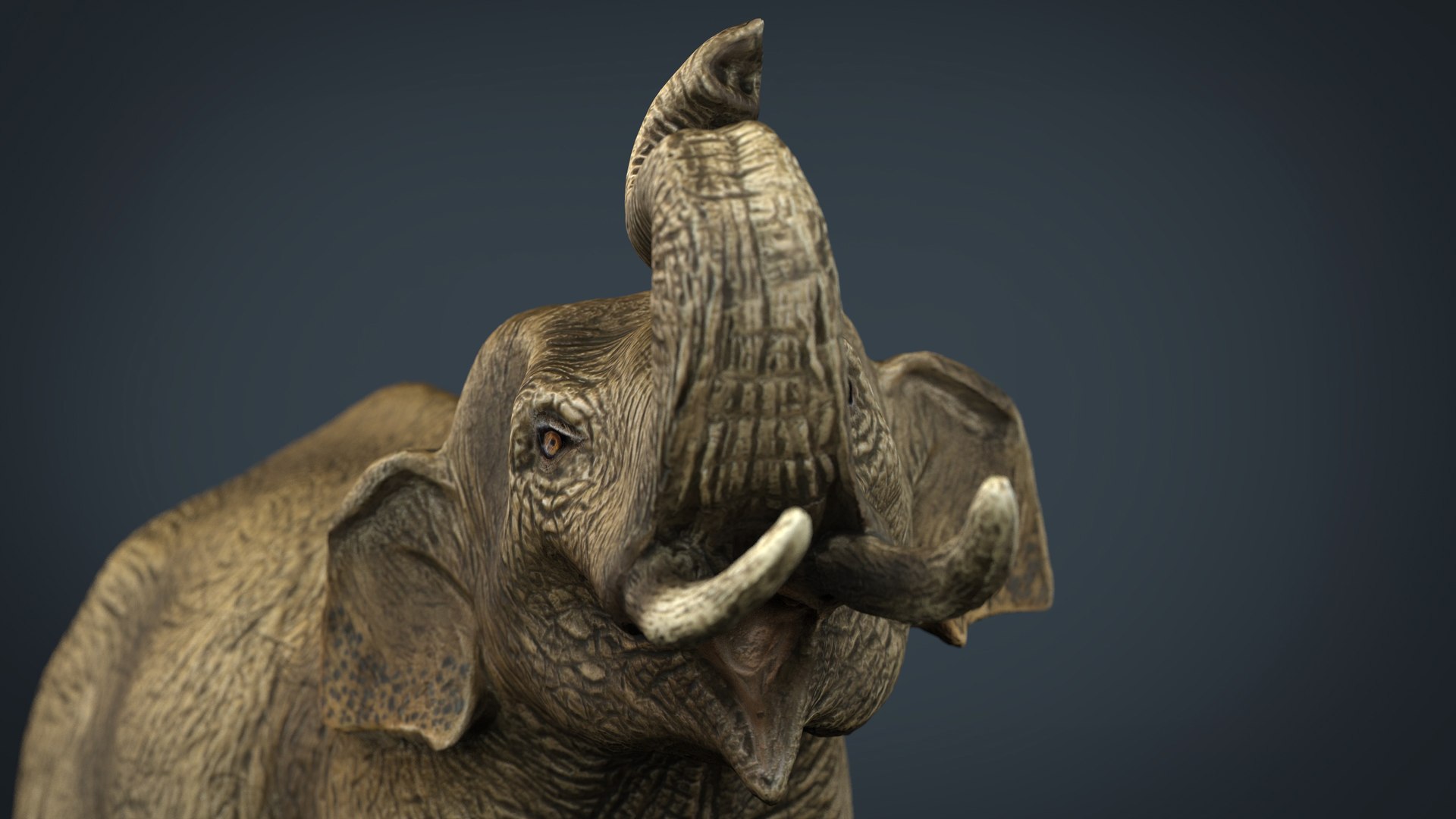 3d asian elephant