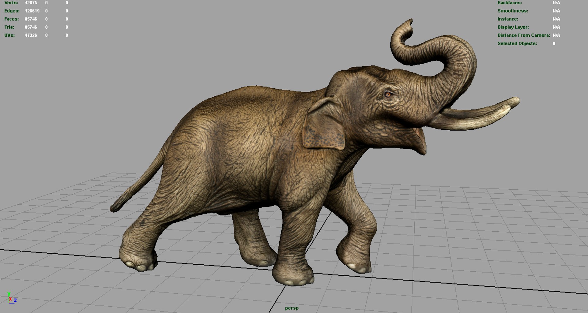 3d asian elephant