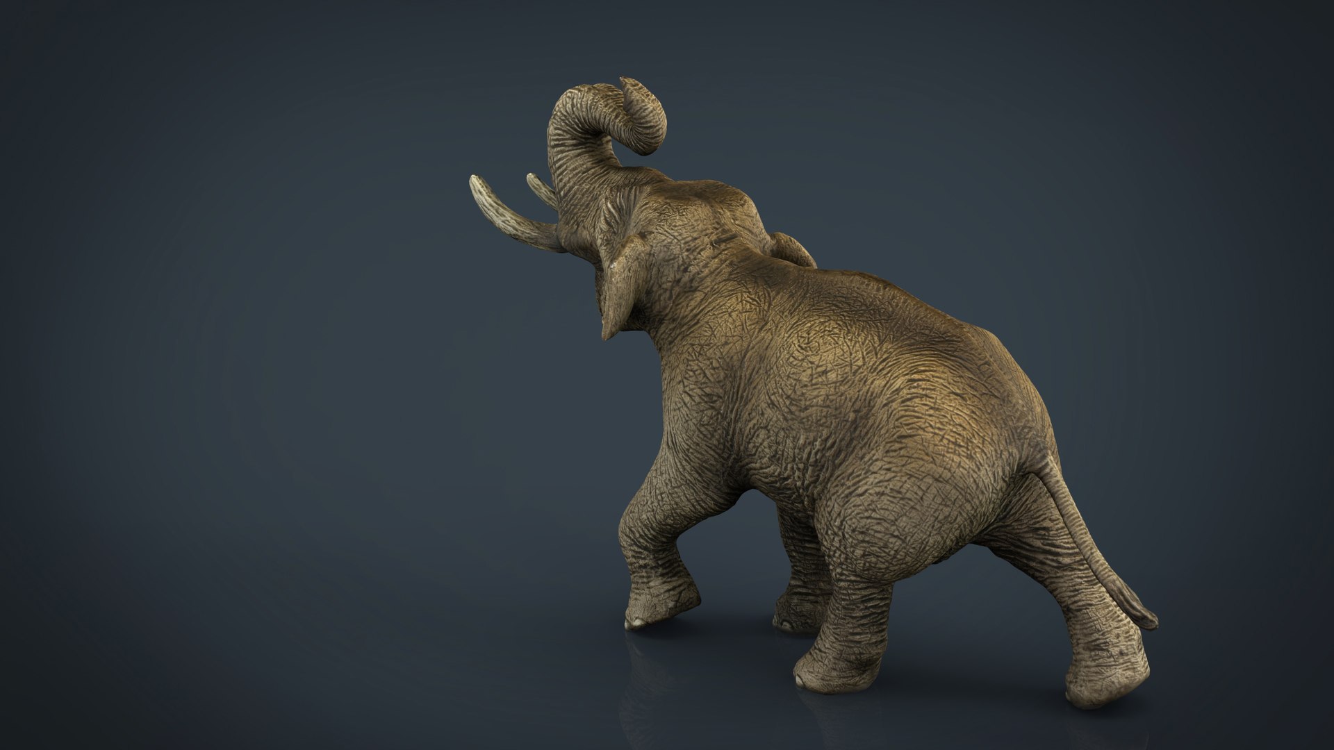 3d asian elephant