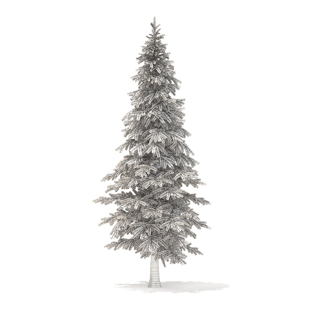 3D fir tree 4 5m - TurboSquid 1273687
