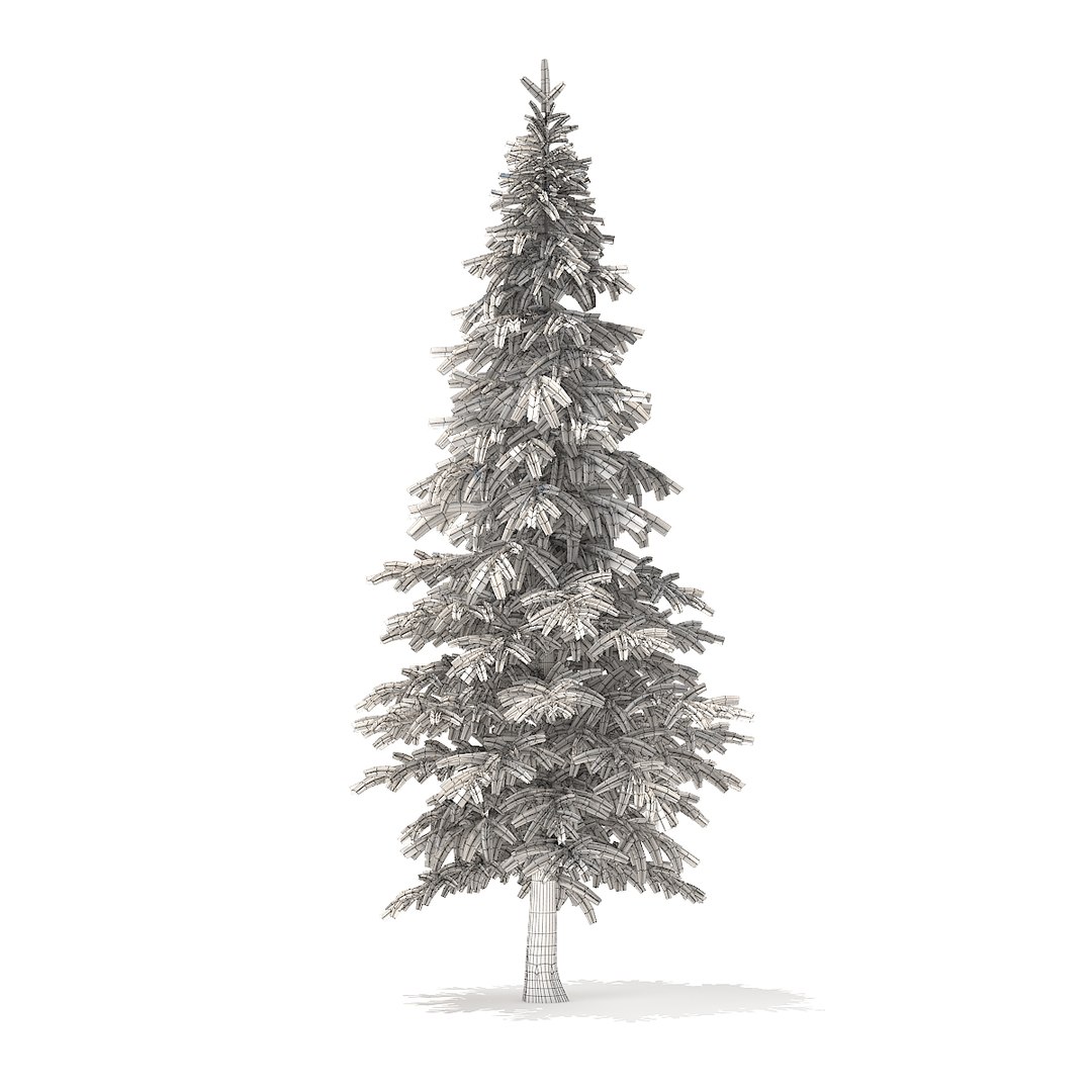 3D fir tree 4 5m - TurboSquid 1273687