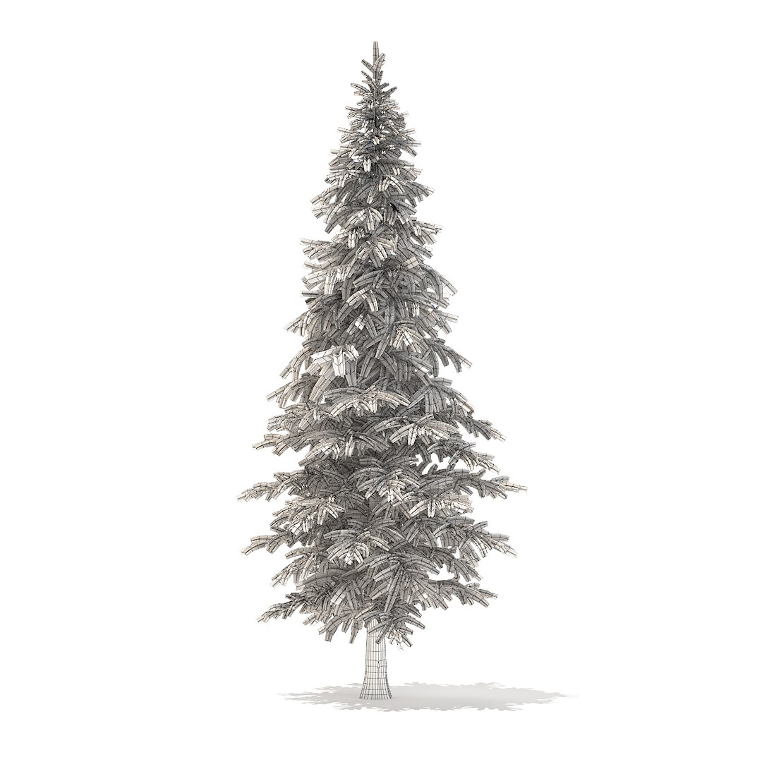 3D fir tree 4 5m - TurboSquid 1273687