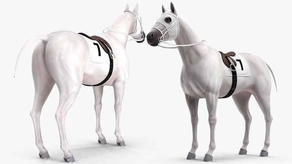 White racehorse horse racing 3D model - TurboSquid 1463973