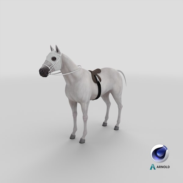 White racehorse horse racing 3D model - TurboSquid 1463973