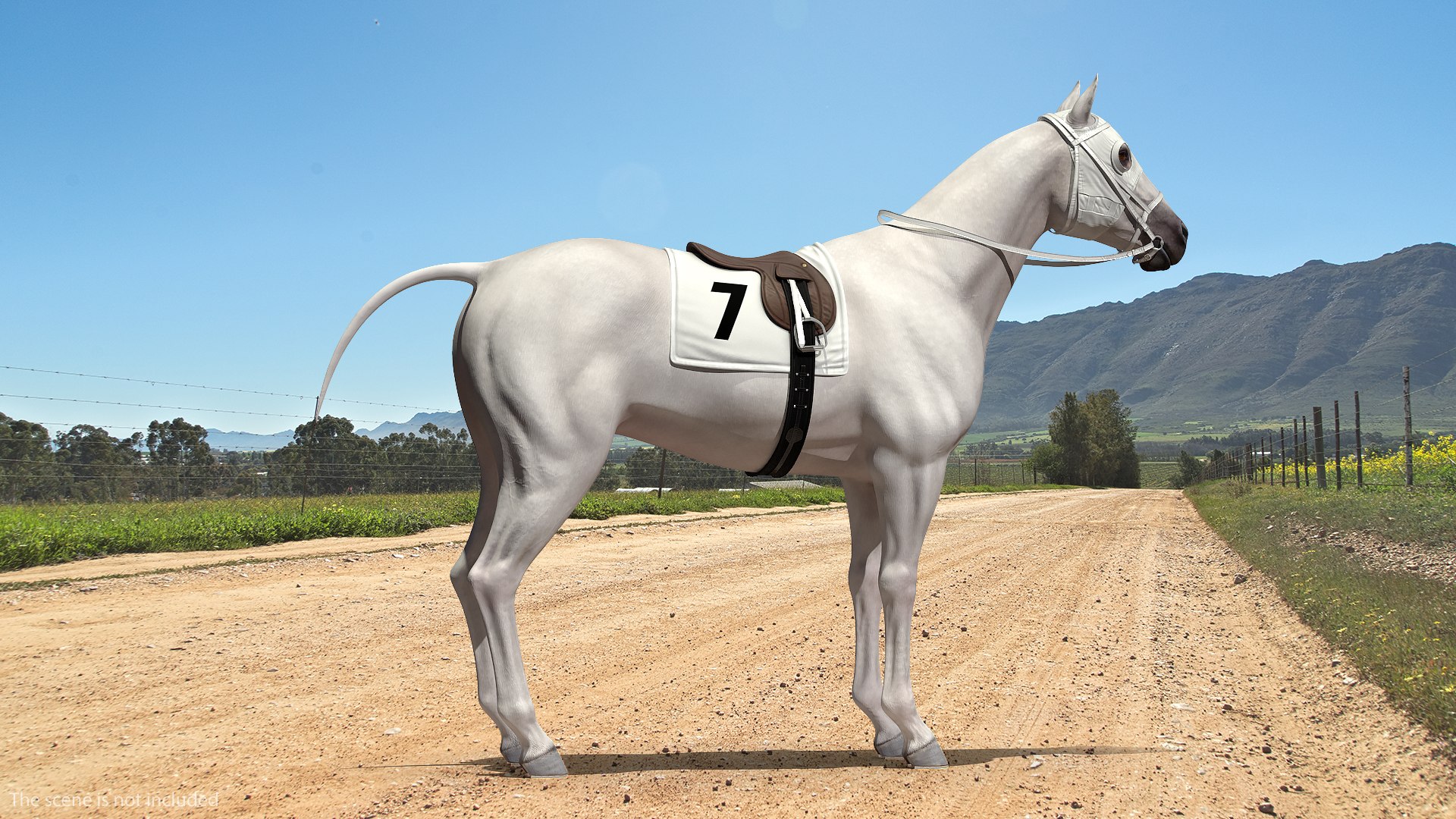 White Racehorse Horse Racing 3D Model - TurboSquid 1463973