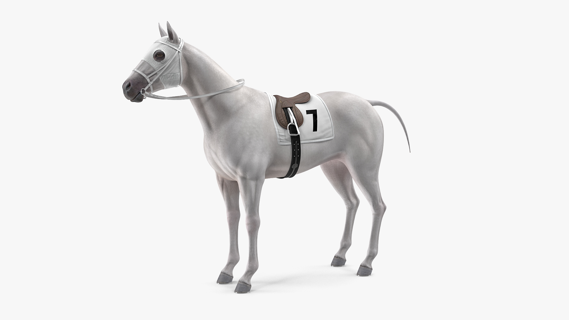 White Racehorse Horse Racing 3D Model - TurboSquid 1463973