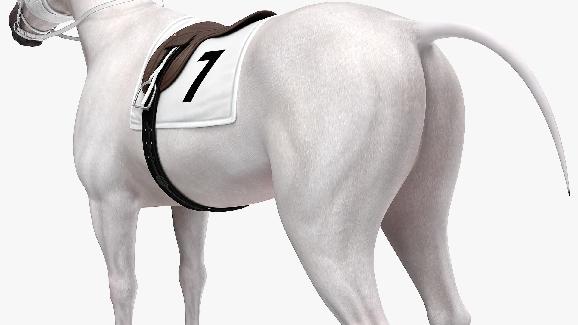 White racehorse horse racing 3D model - TurboSquid 1463973