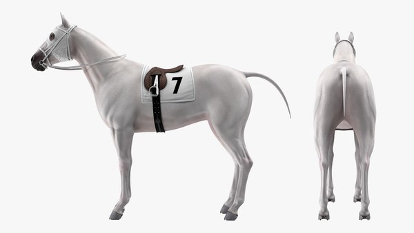 White racehorse horse racing 3D model - TurboSquid 1463973