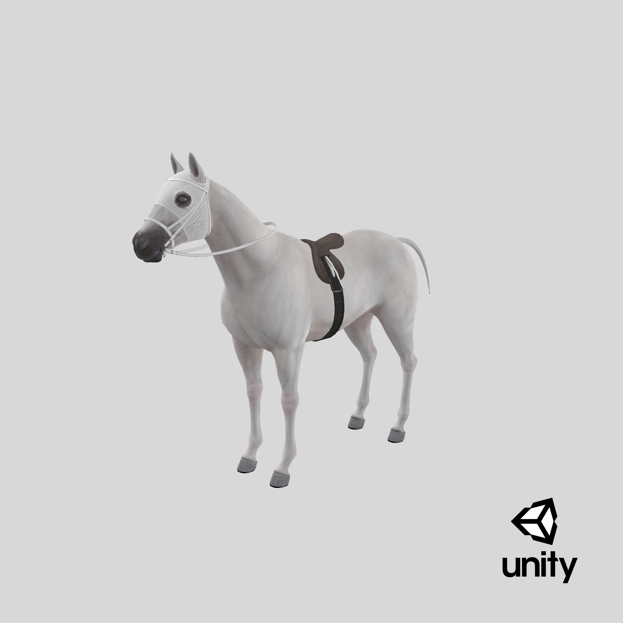 White racehorse horse racing 3D model - TurboSquid 1463973
