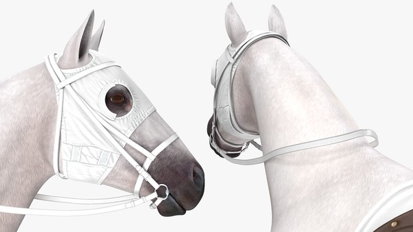 White racehorse horse racing 3D model - TurboSquid 1463973