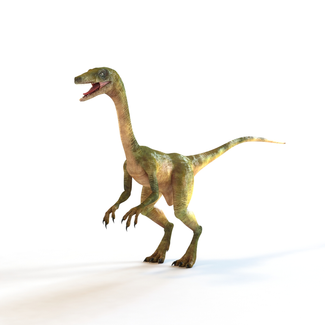 3d Compsognathus Compy Model