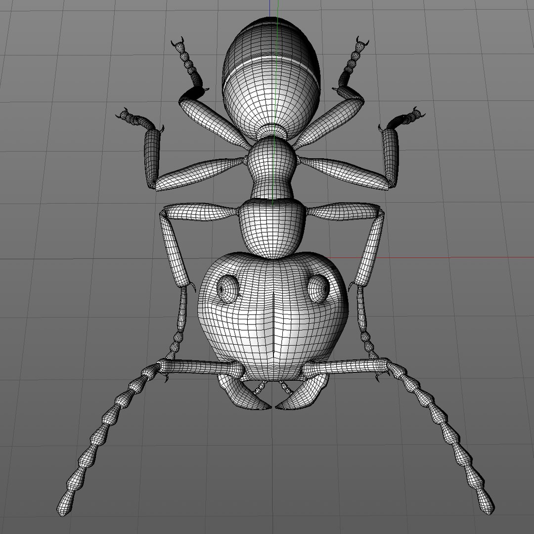 3D ant - TurboSquid 1621758