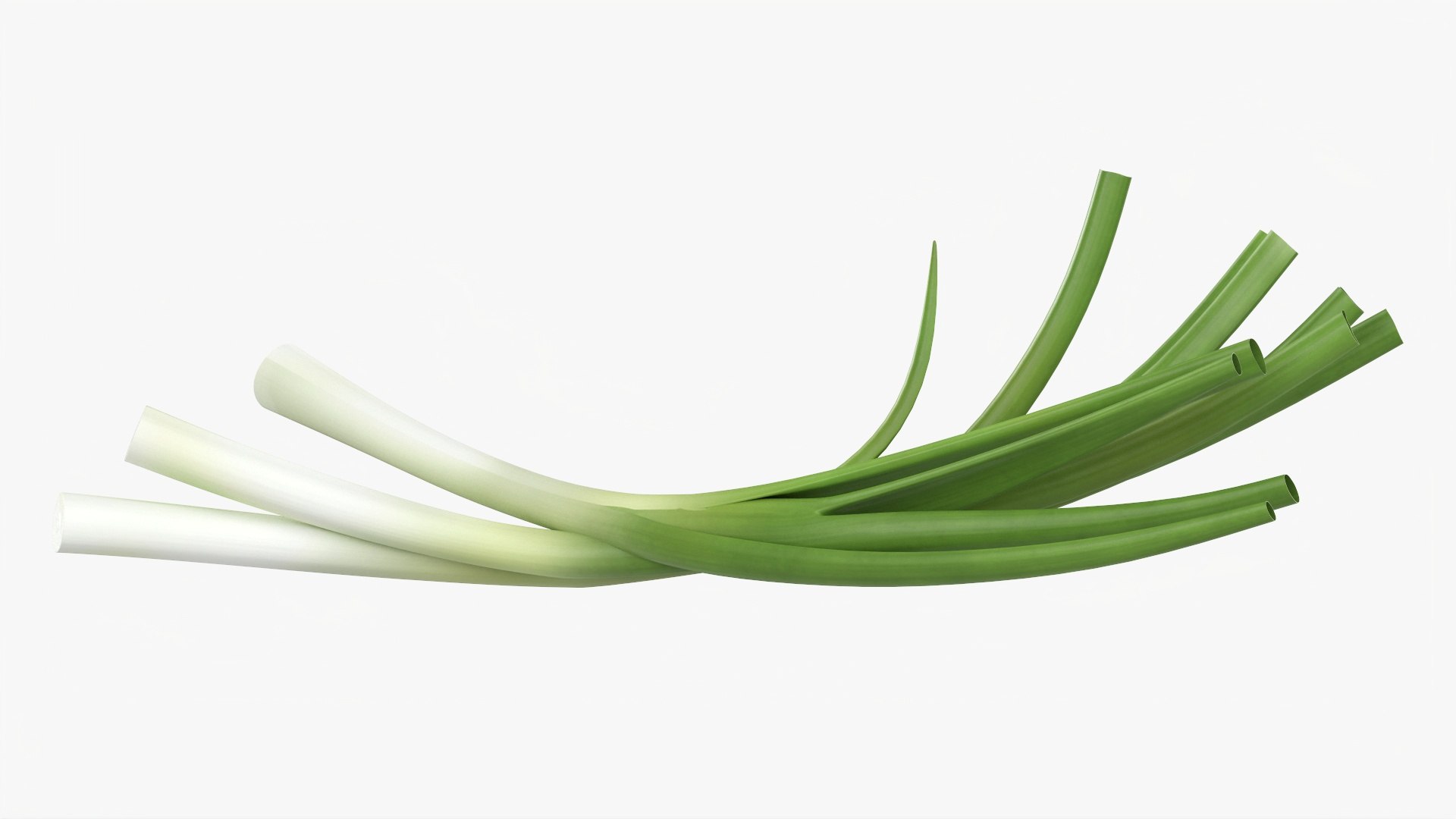 3D Spring Onions 01 Model - TurboSquid 1777292