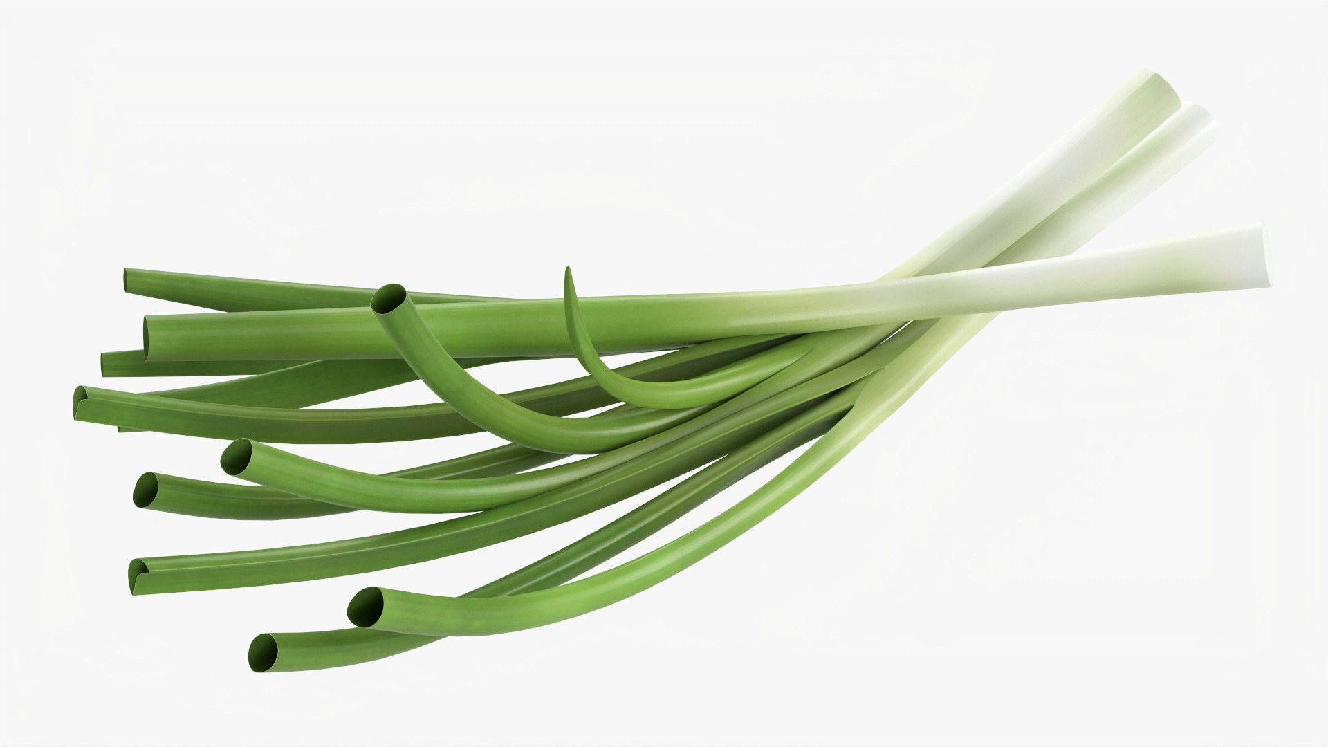 3D Spring Onions 01 Model - TurboSquid 1777292