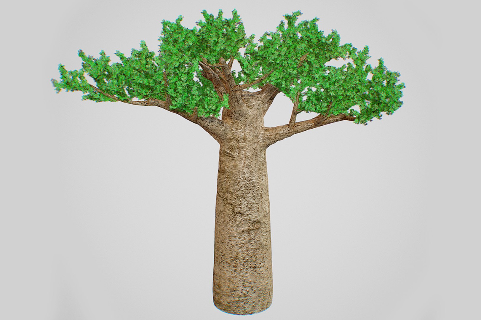 3D Model Baobab Tree - TurboSquid 1351270