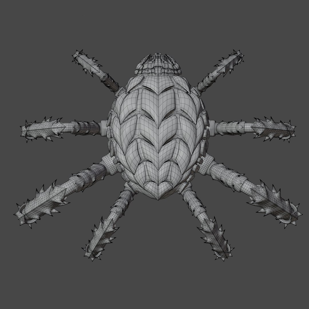 The Cave Spider 3D Model - TurboSquid 2065568