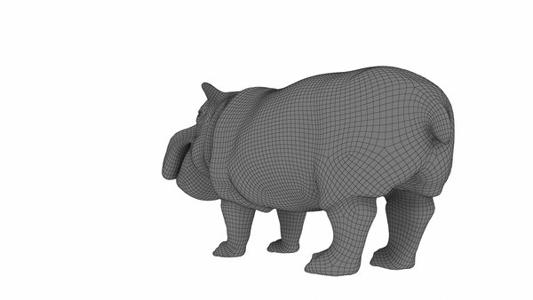 3D hippo model - TurboSquid 1444524