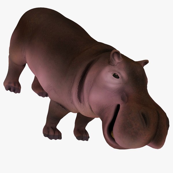3D hippo model - TurboSquid 1444524