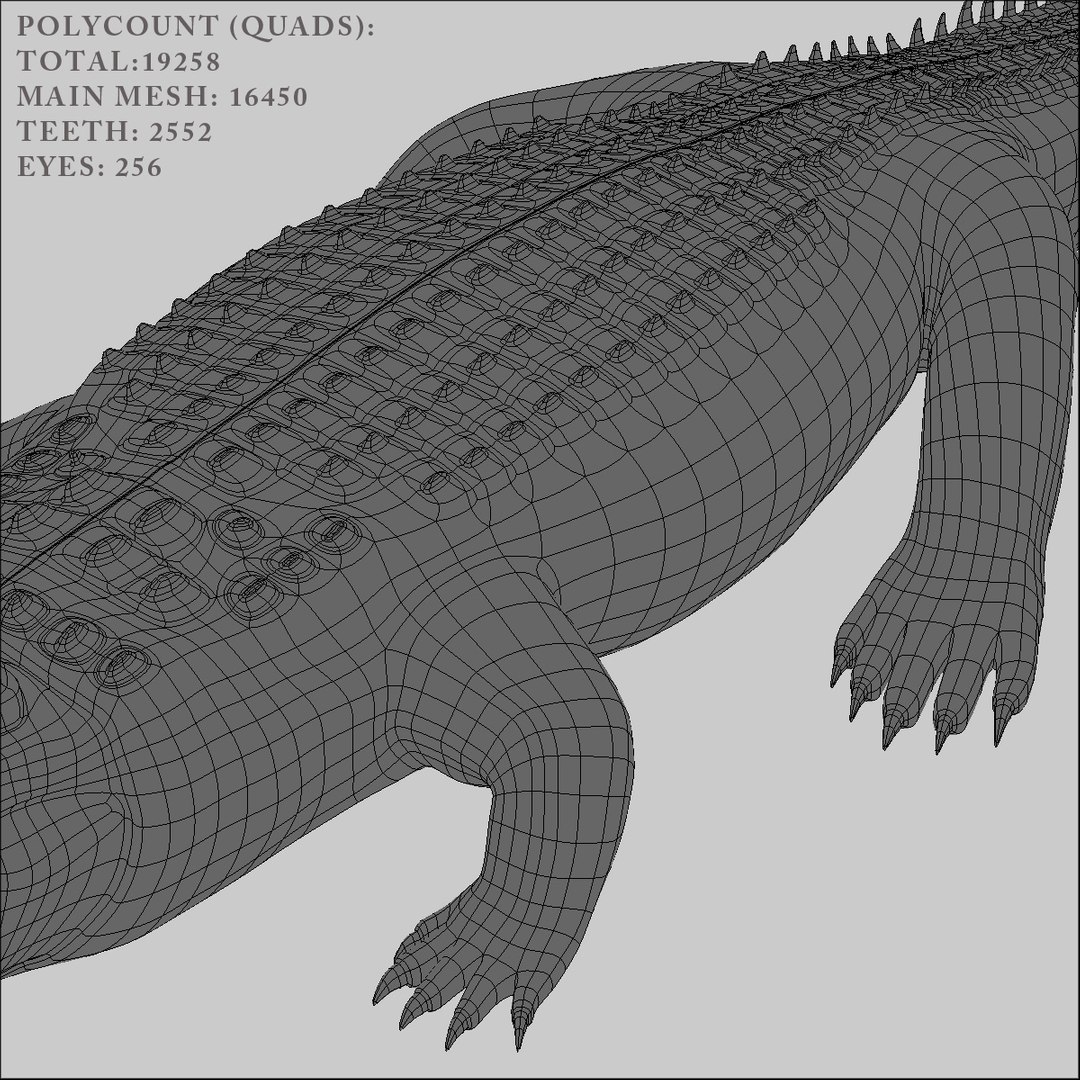 realistic crocodile animation 3d model