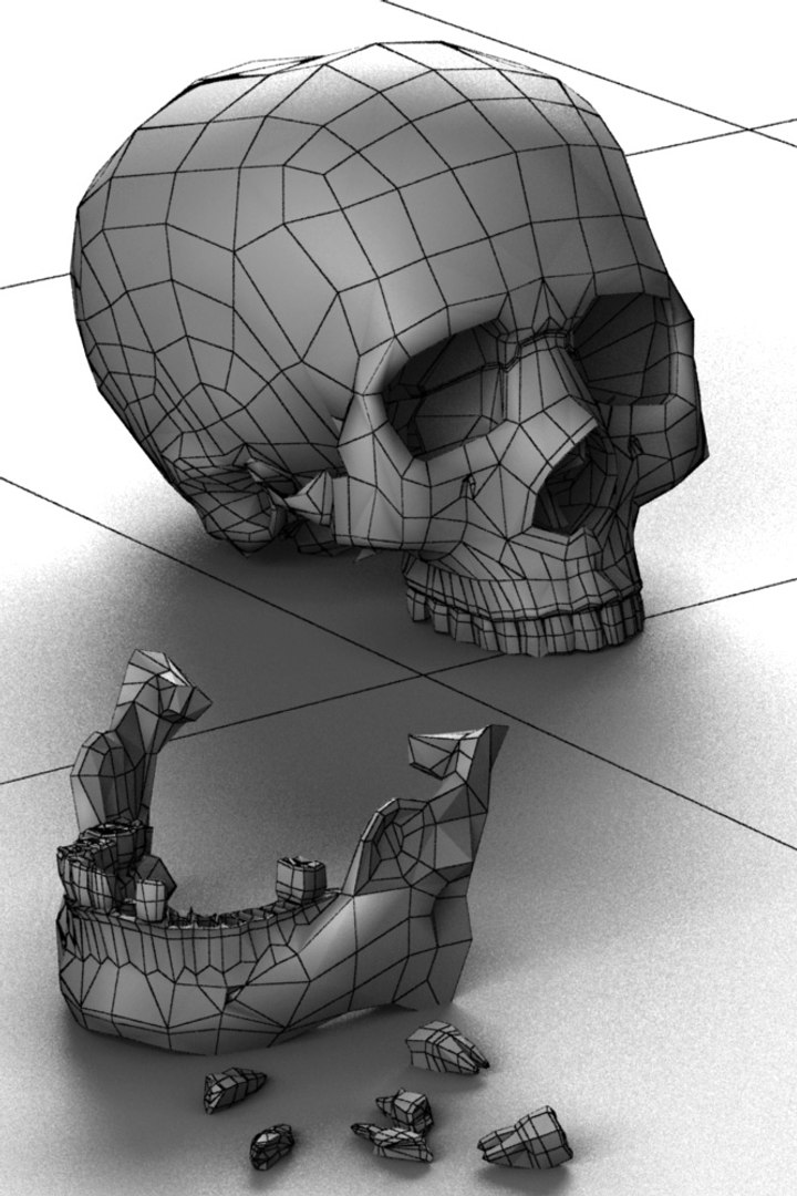 human skull 3d max