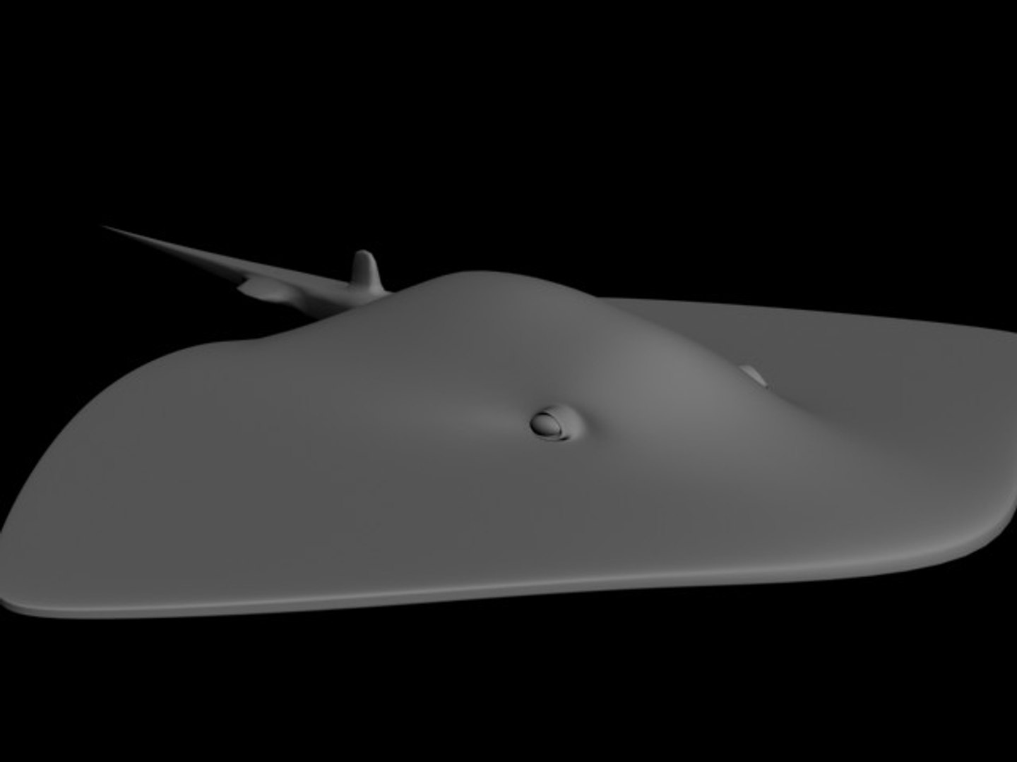 Southern Stingray Animation 3d Model