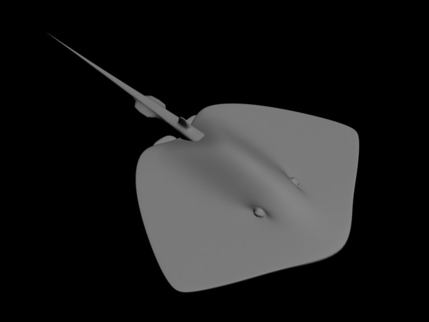 Southern Stingray Animation 3d Model