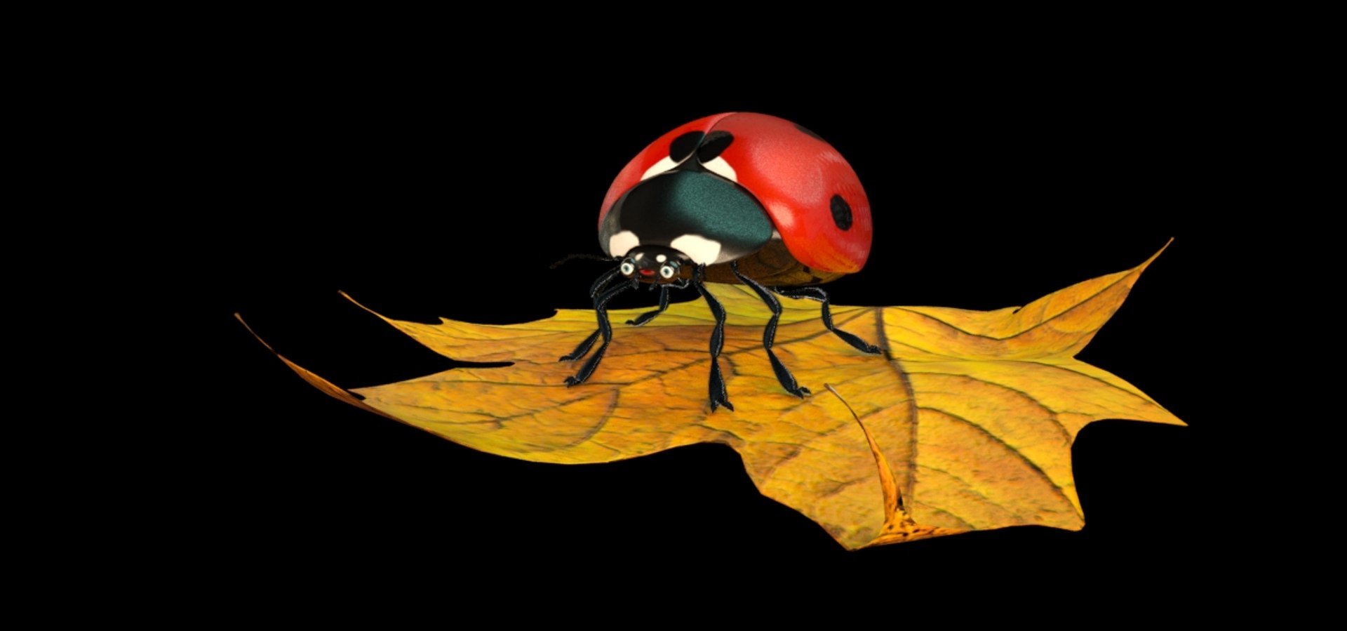 Cartoony Lady Bird 3D Model - TurboSquid 1305268