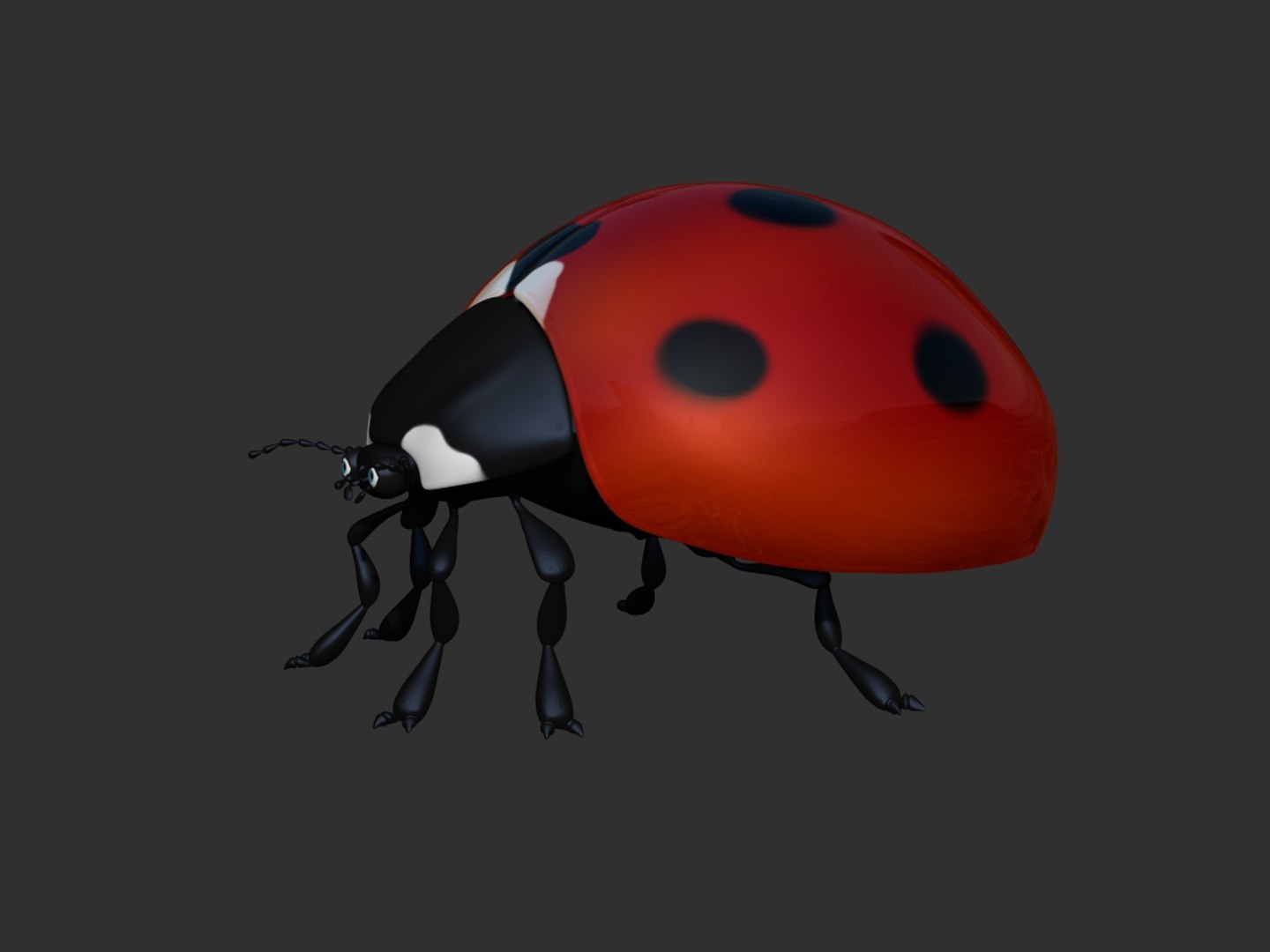Cartoony Lady Bird 3D Model - TurboSquid 1305268