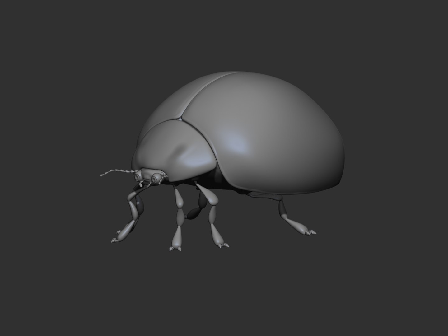 Cartoony Lady Bird 3D Model - TurboSquid 1305268