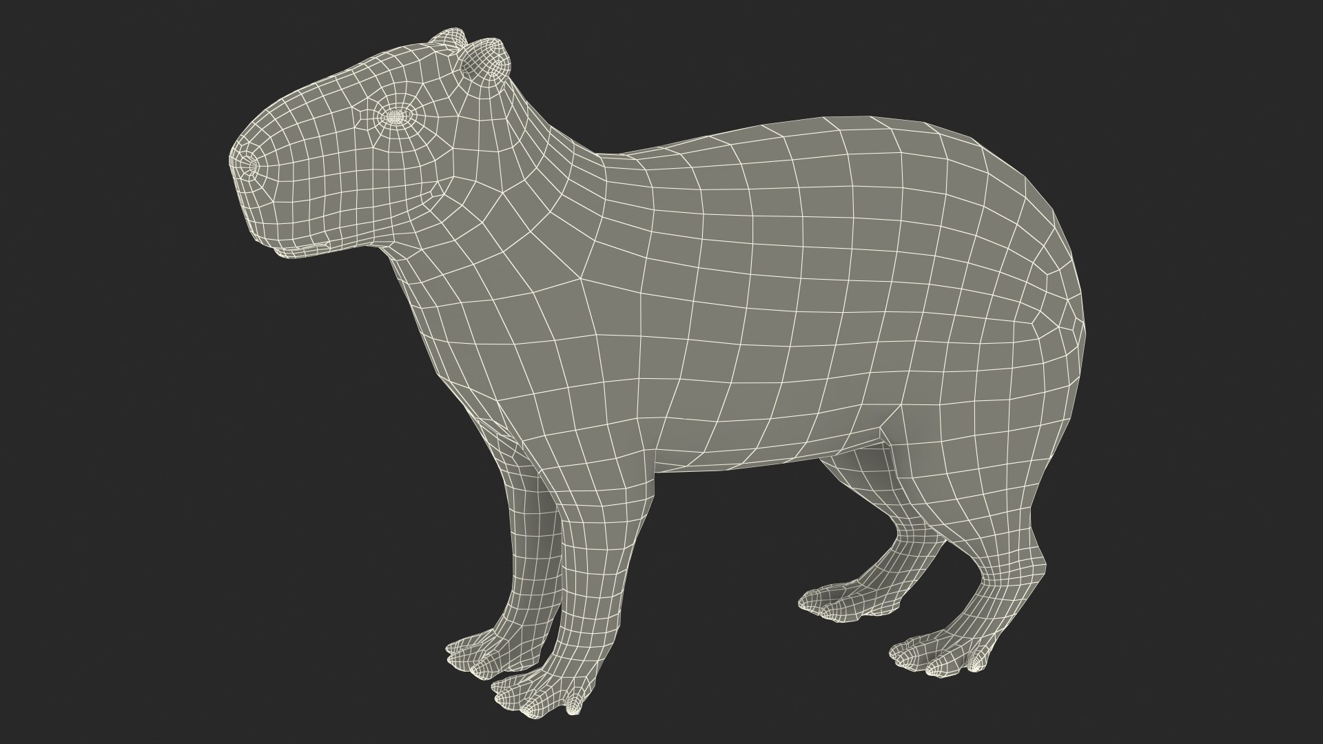3D Capybara Fur Rigged model - TurboSquid 1951701
