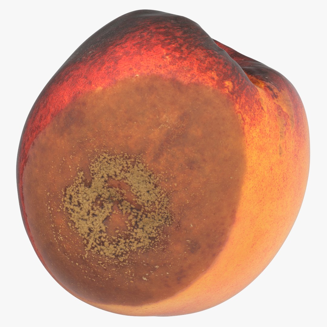 3D Nectarine Rotten 01 - TurboSquid 2071879