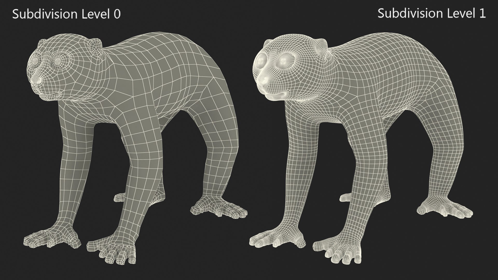 Bengal Slow Loris Model - TurboSquid 2143528
