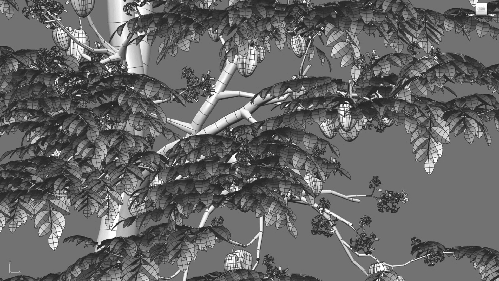 3D Model Averrhoa Carambola - Starfruit Tree 02 - TurboSquid 1862753