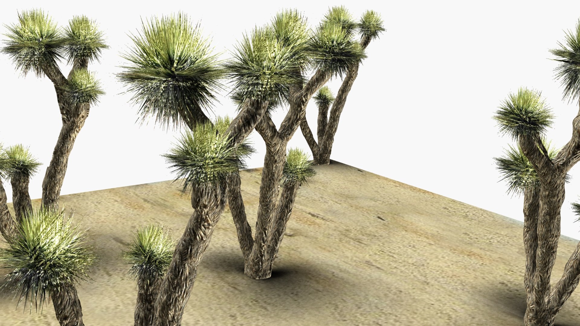 Joshua Tree Model - TurboSquid 1921909